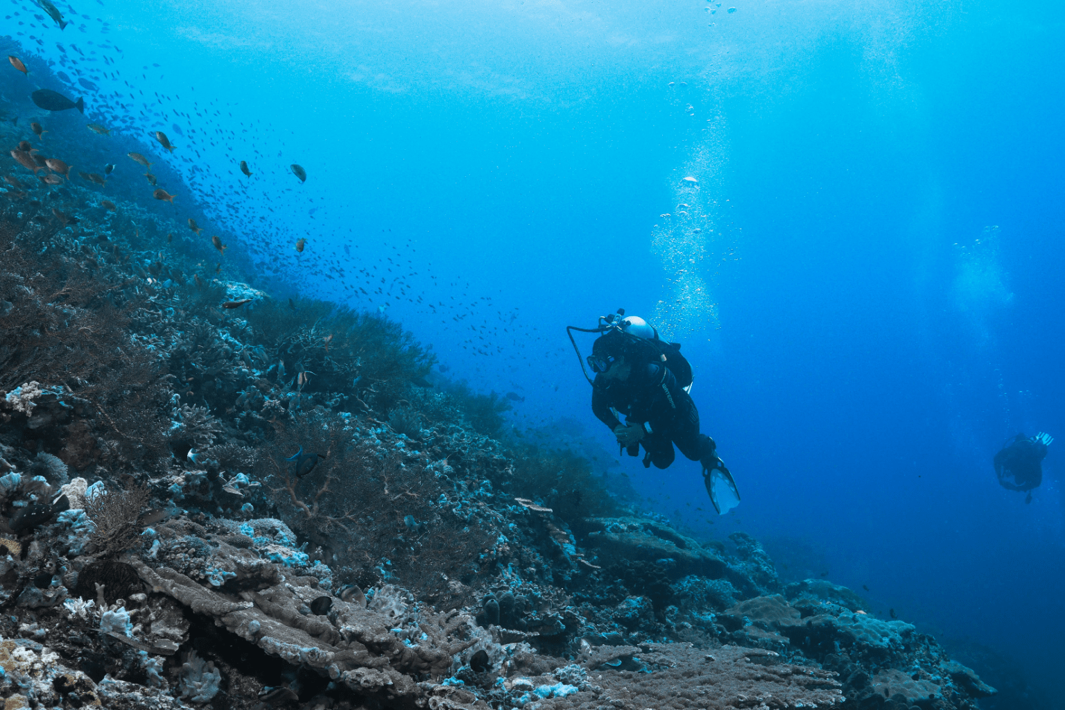 Tec Diving – Diving Solutions